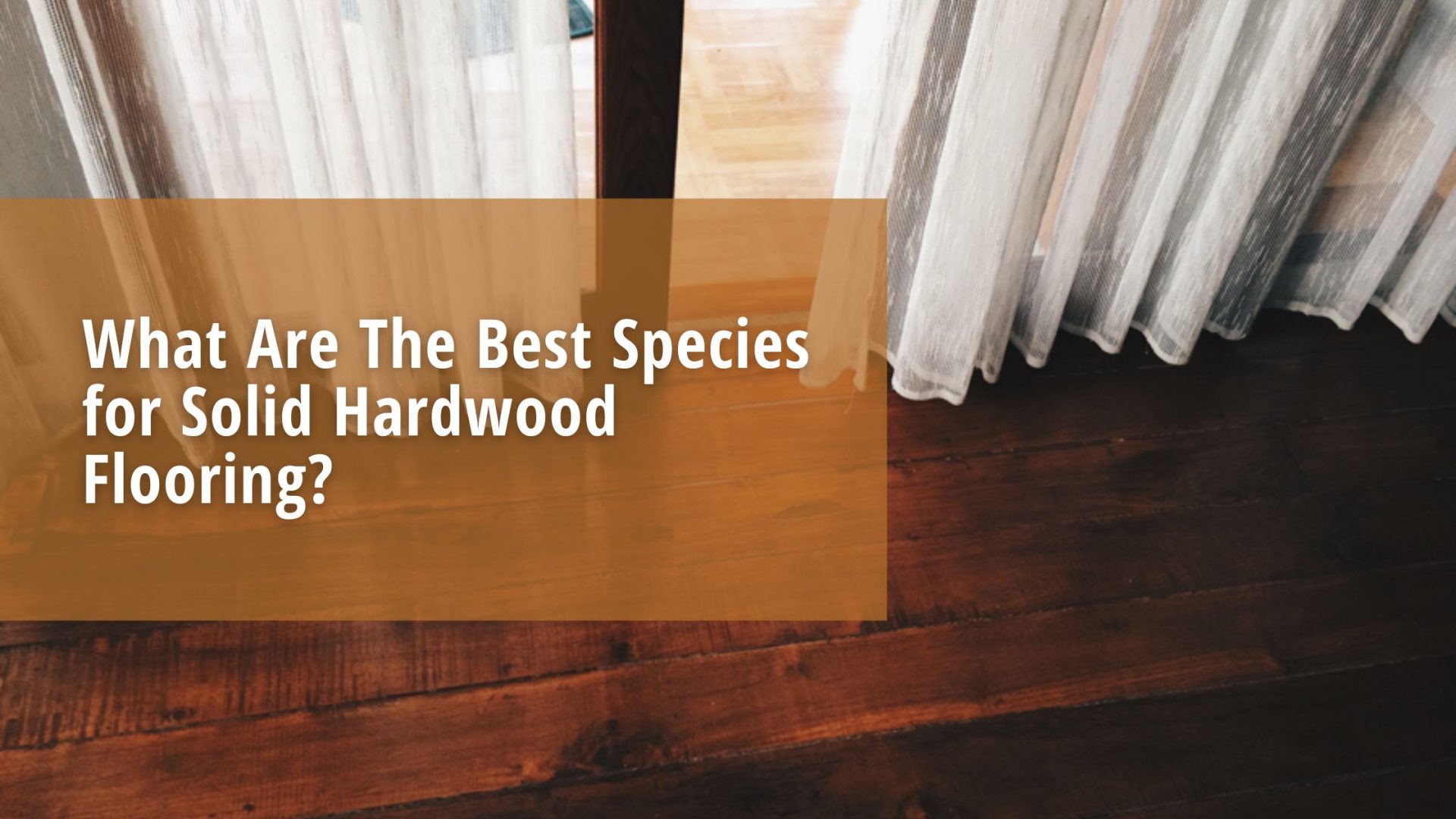 PT. Jati Luhur Agung - What Are The Best Species for Solid Hardwood ...